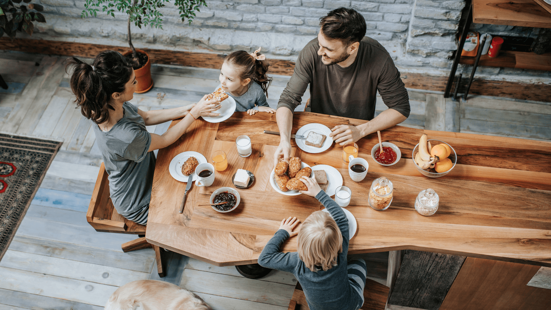Australian Homestay Program | Experience safe and rich study abroad